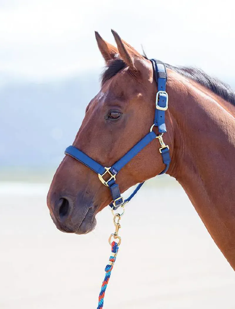 Shires Topaz Pony Nylon Headcollar In Blue