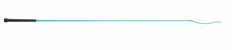 Economy Schooling Whip BRIGHT BLUE