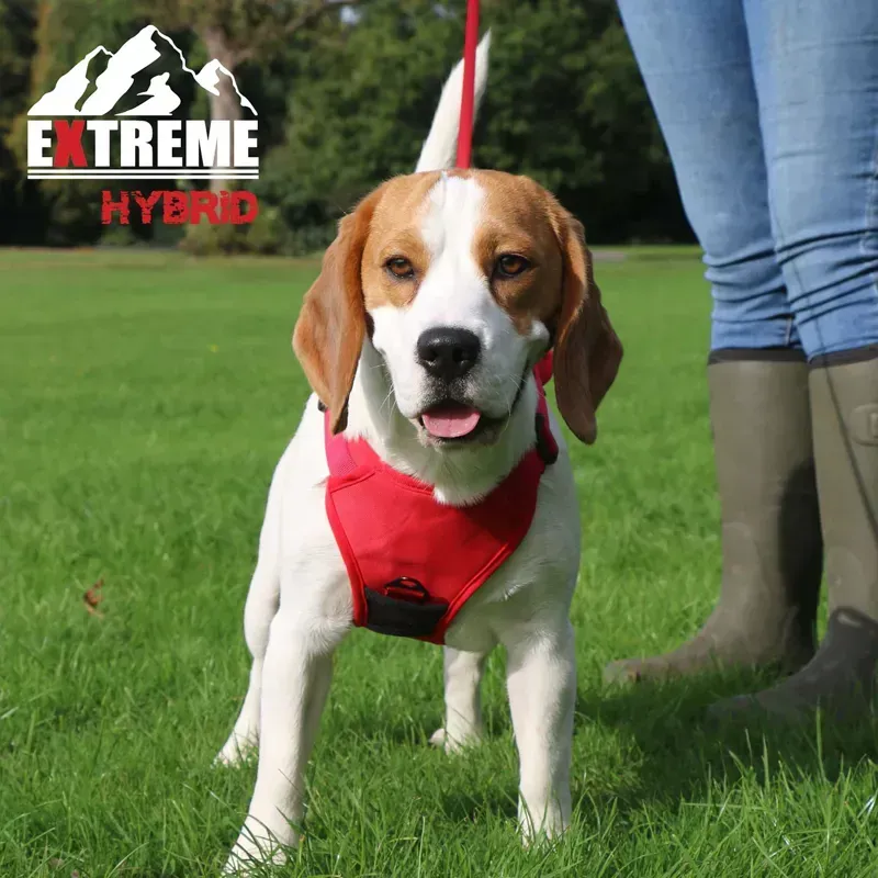 Ancol Medium Extreme Hybrid Harness in Poppy Red