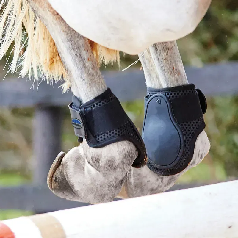 WB Lite Fetlock Boots Black Full